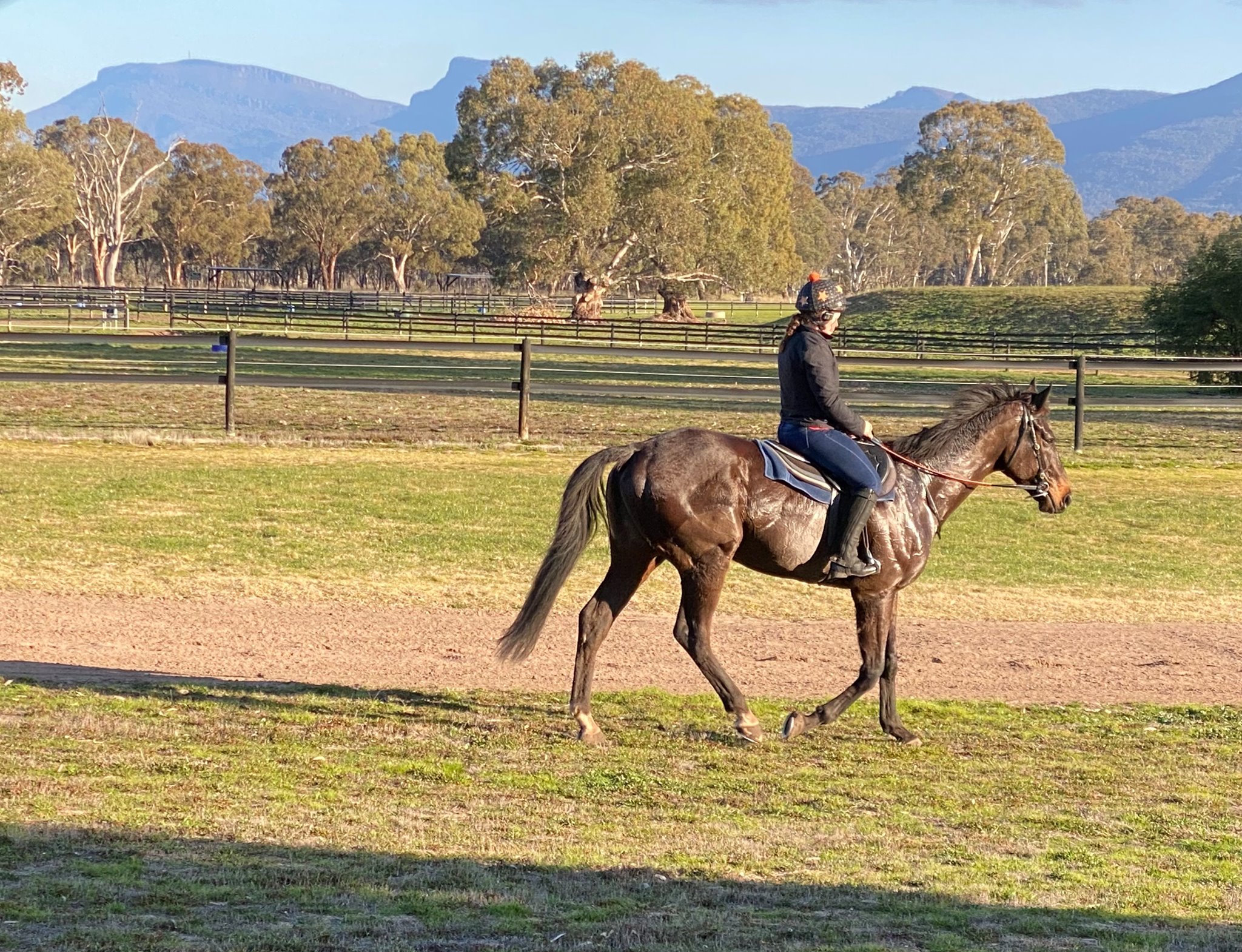 Professional and Personal Approach